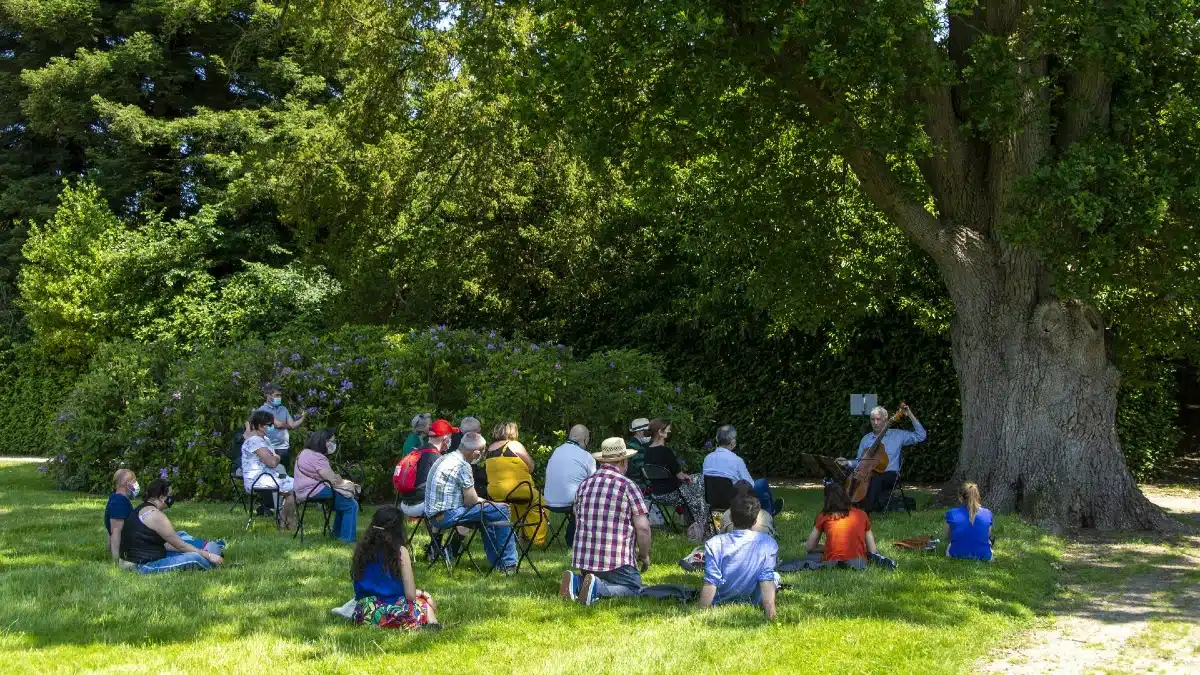 French Flair Awaits - Explore the Park of Versailles!